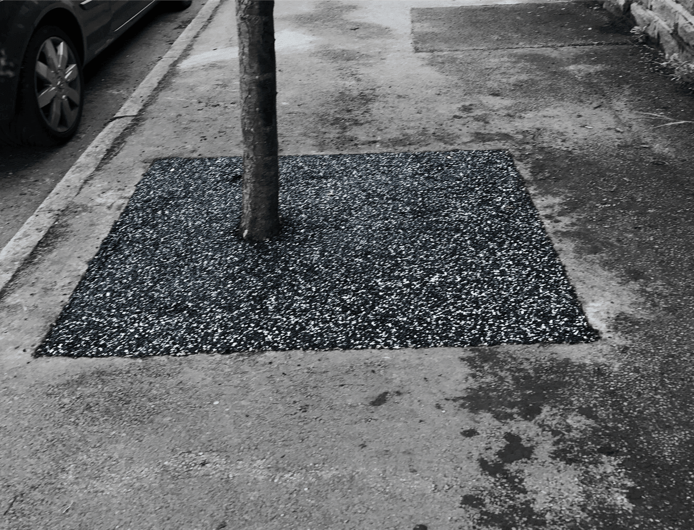 tree pits - Sudstech Permeable Paving